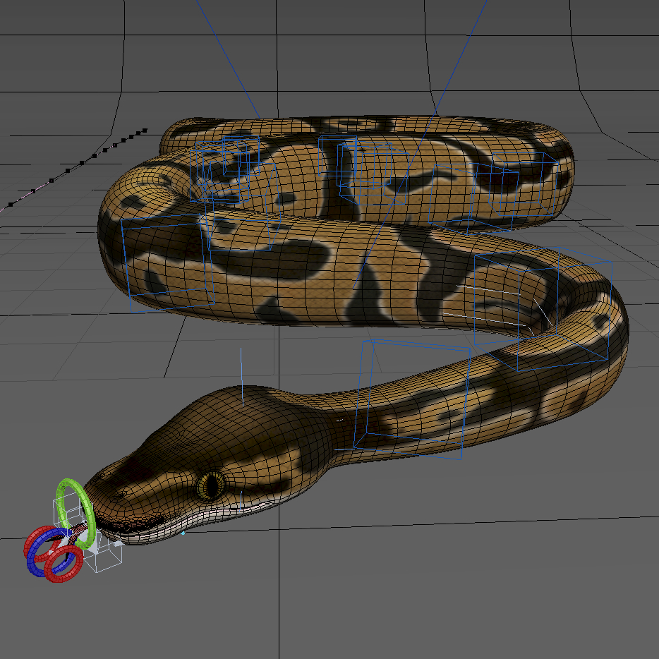 max normal ball python