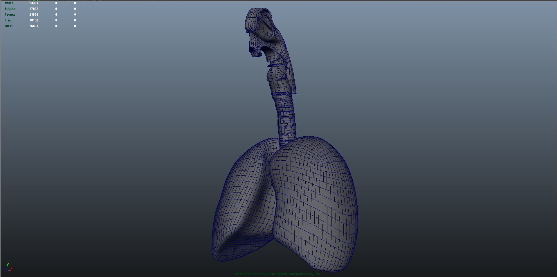 lungs anatomy 3d obj