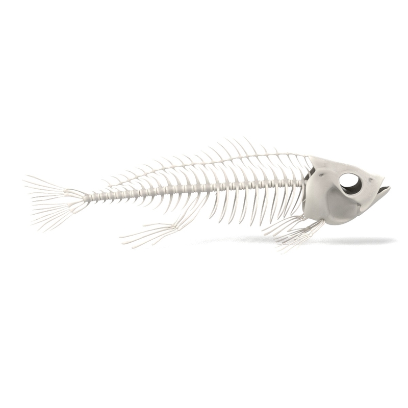 fish skeleton 3d obj
