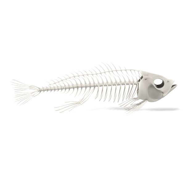fish skeleton 3d obj