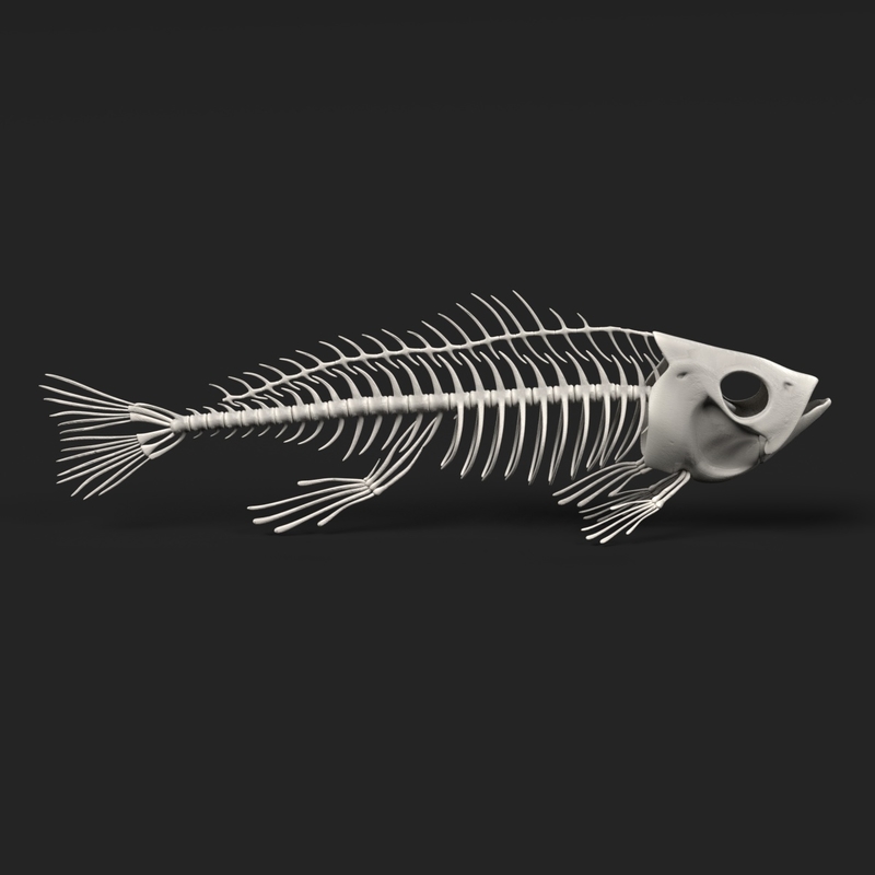 fish skeleton 3d obj
