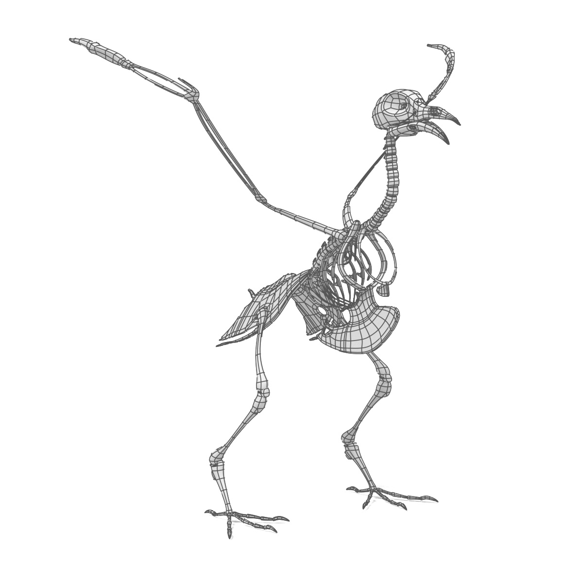 3d model pigeon skeleton