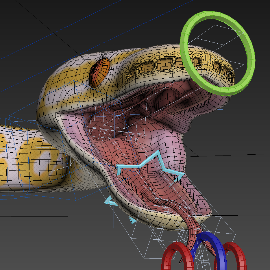 3d max albino ball python