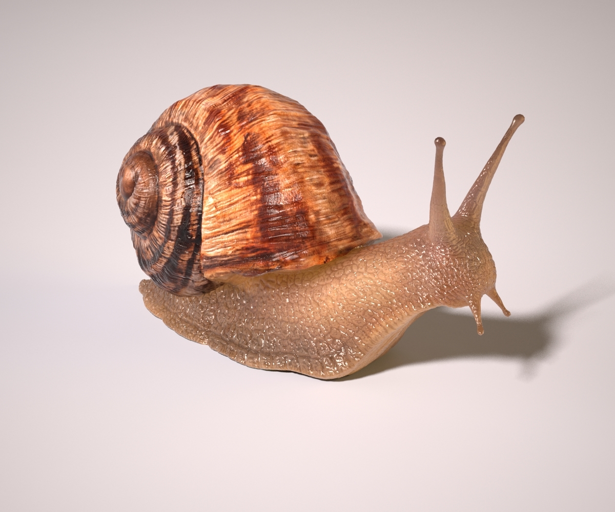 snail rig 3d max