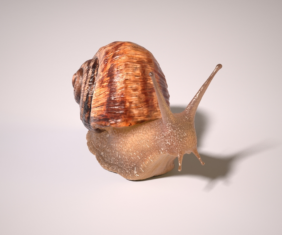 snail rig 3d max