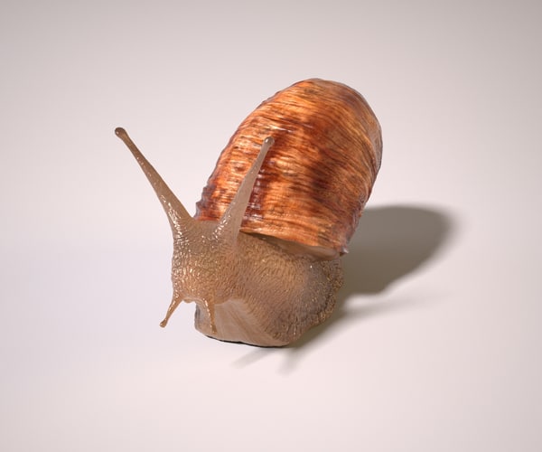 snail rig 3d max