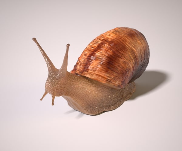 snail rig 3d max