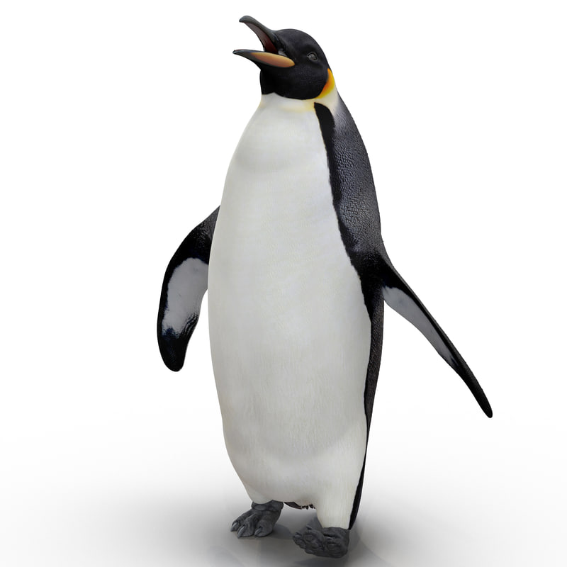 penguin pose 2 max