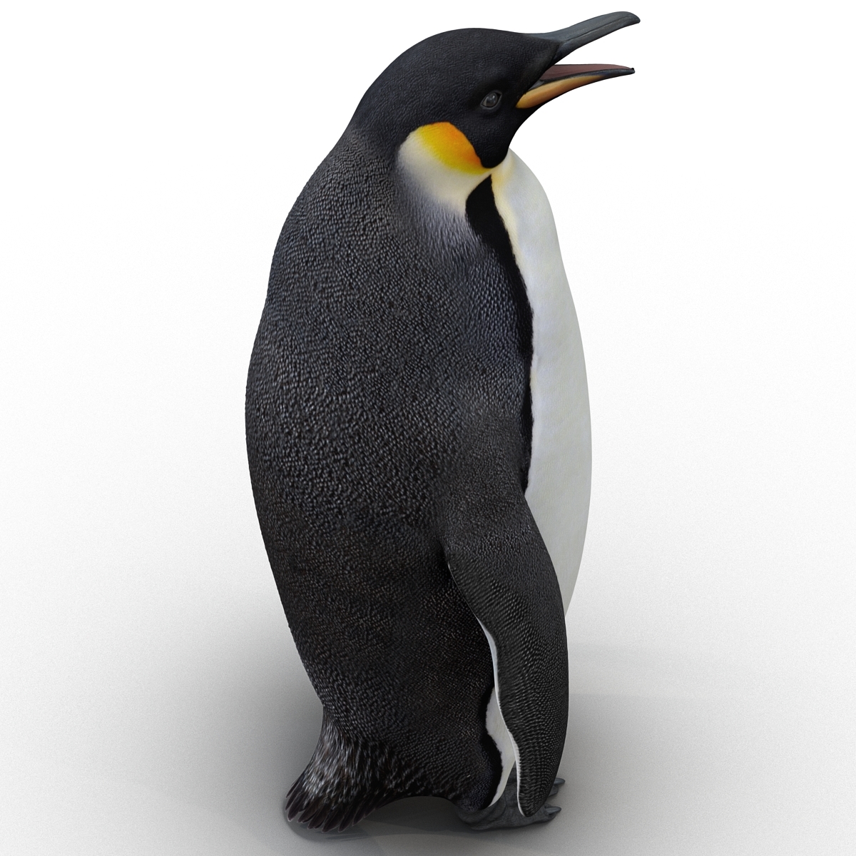 3d model penguin