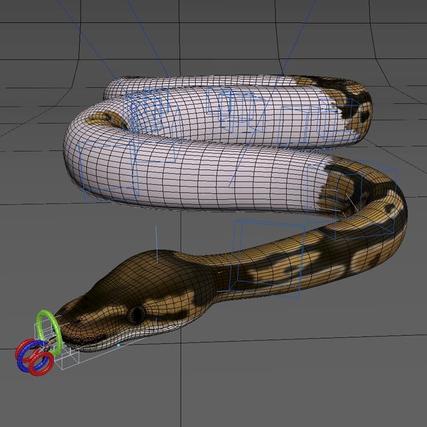 pied ball python 3d model