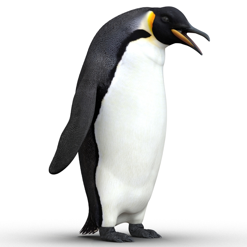 emperor penguin pose 3 3d max