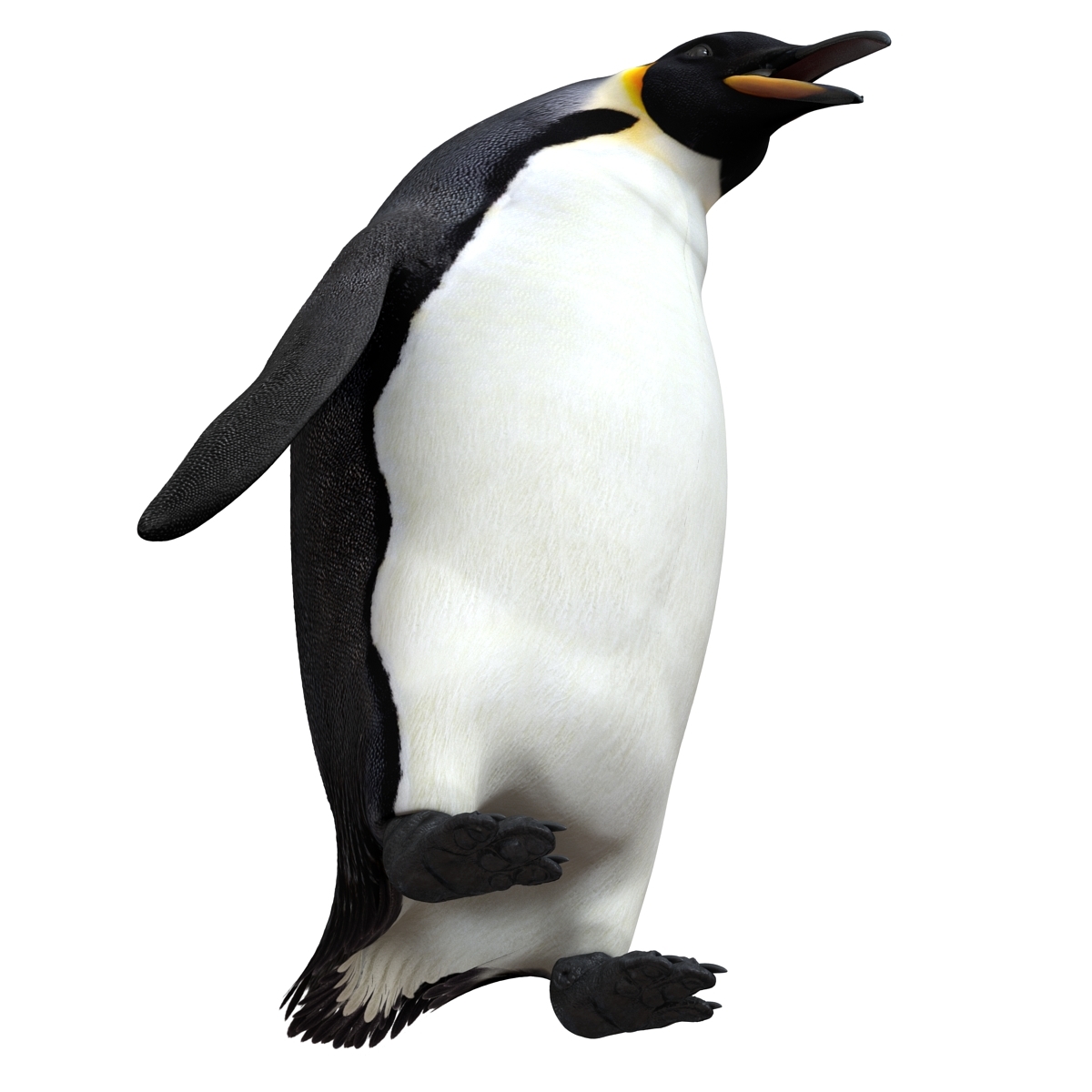 emperor penguin pose 3 3d max