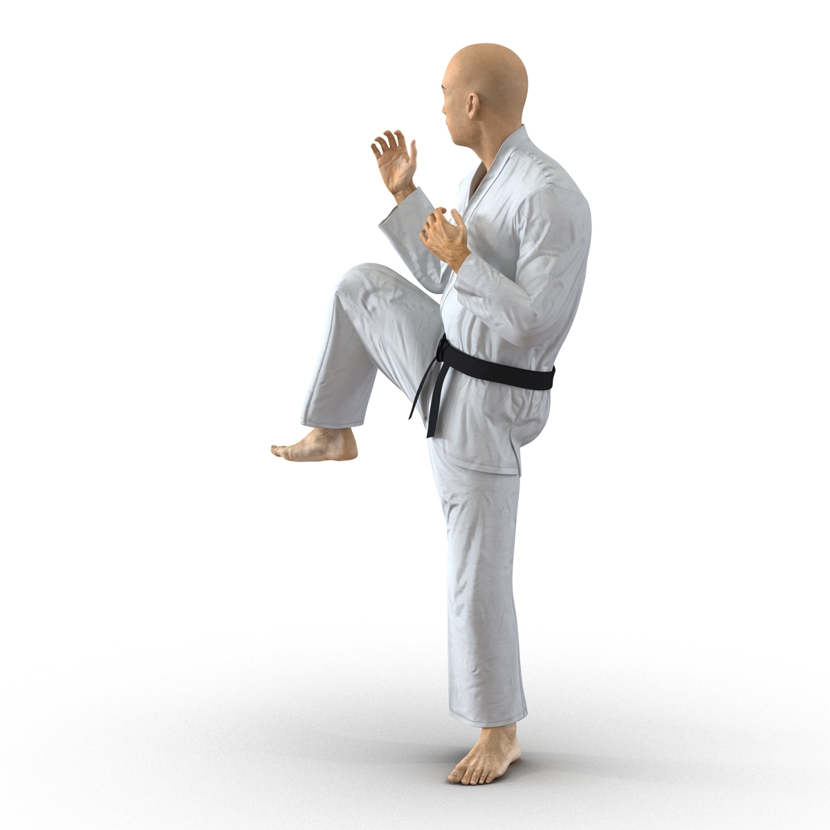 japanese karate fighter pose 3d 3ds