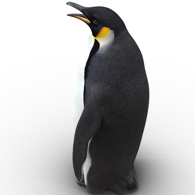 emperor penguin rigged fur ma