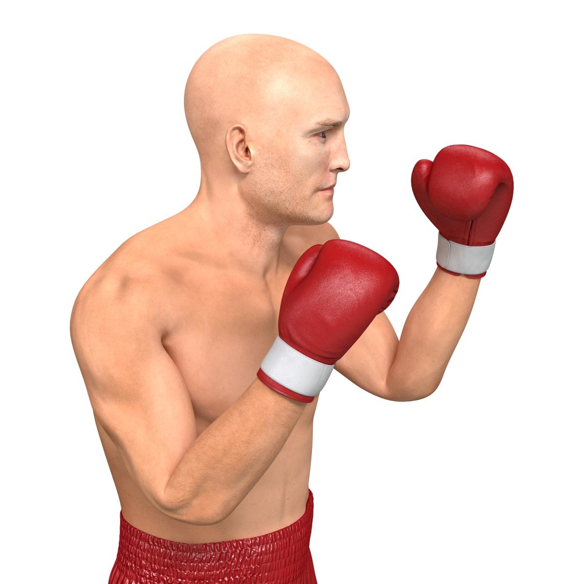 boxer man 2 pose 3d c4d