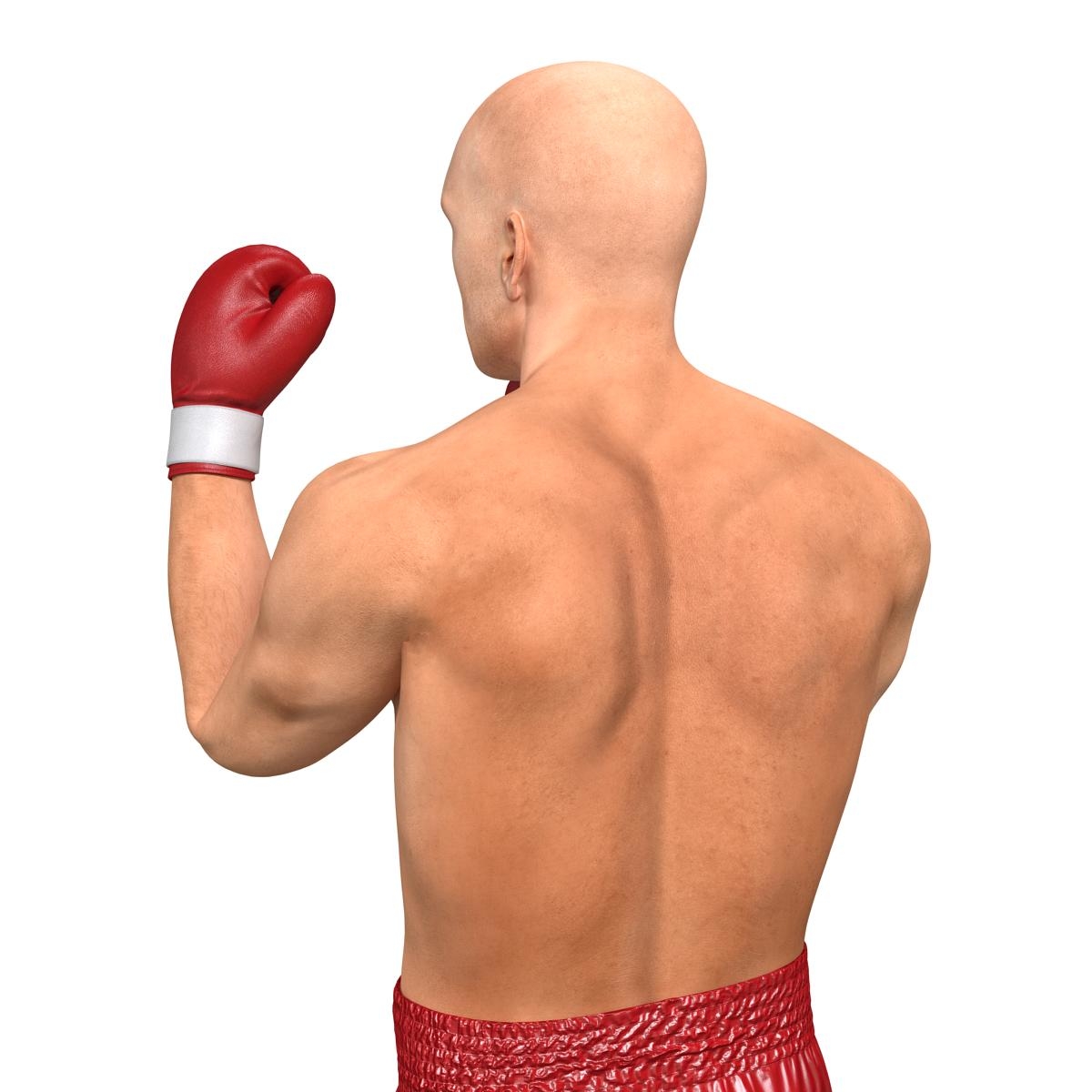 boxer man 2 pose 3d c4d