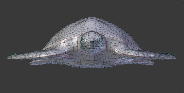 loggerhead sea turtle 3d model