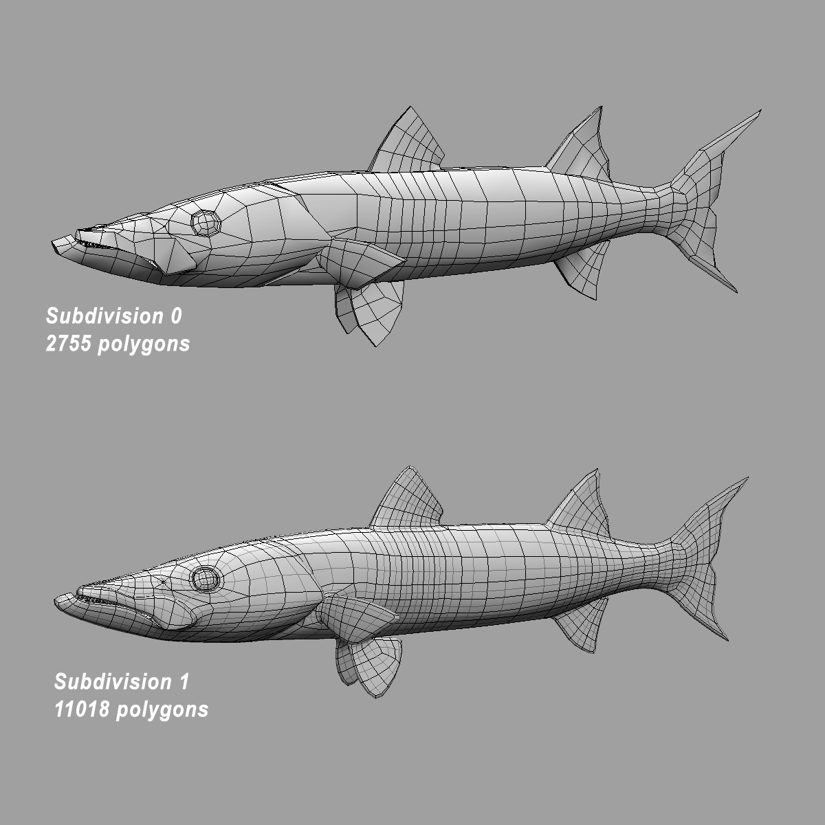 realistic barracuda fish 3d lwo