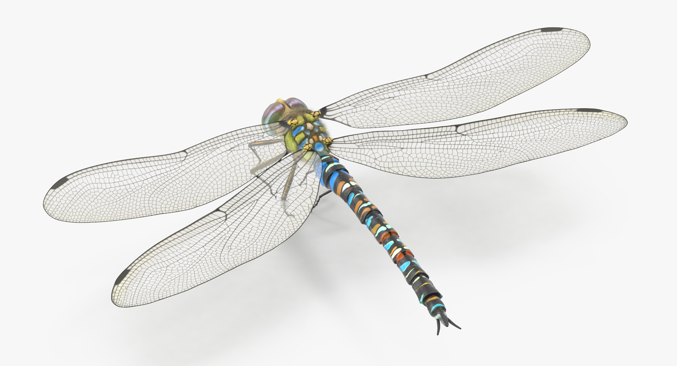 3d model dragonfly pose 01
