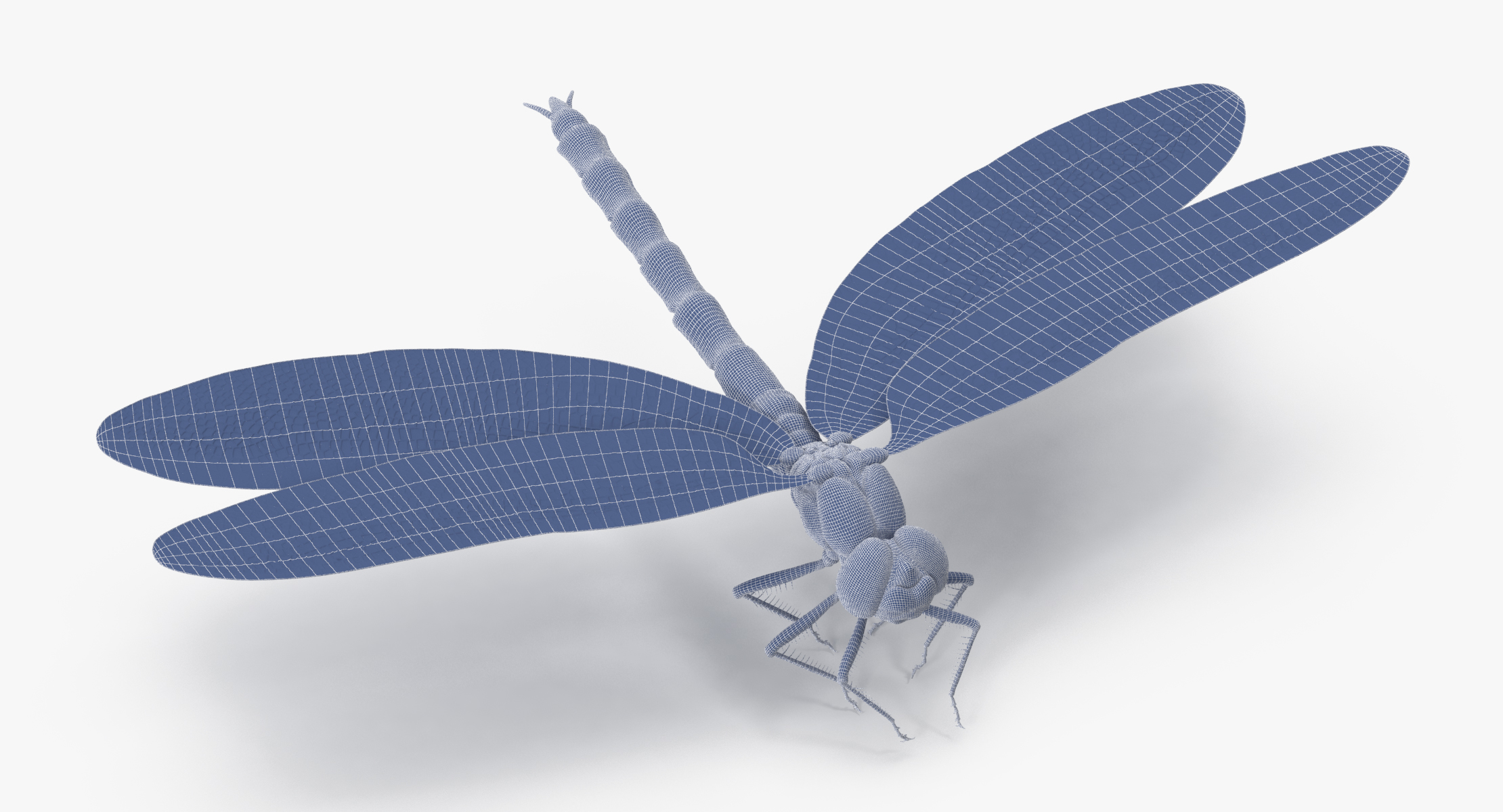 3d model dragonfly pose 01