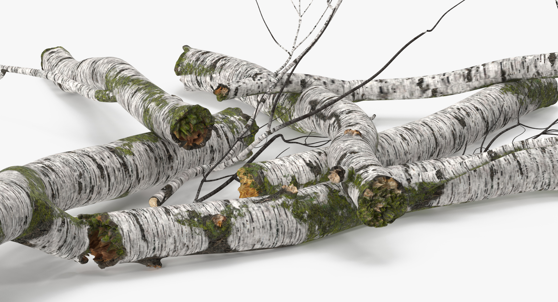 fallen logs birch 3d model