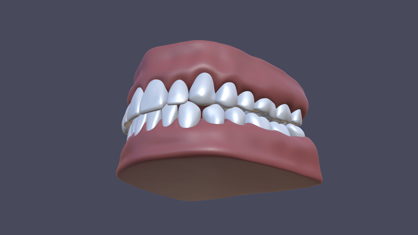 3d jaw teeth gums model