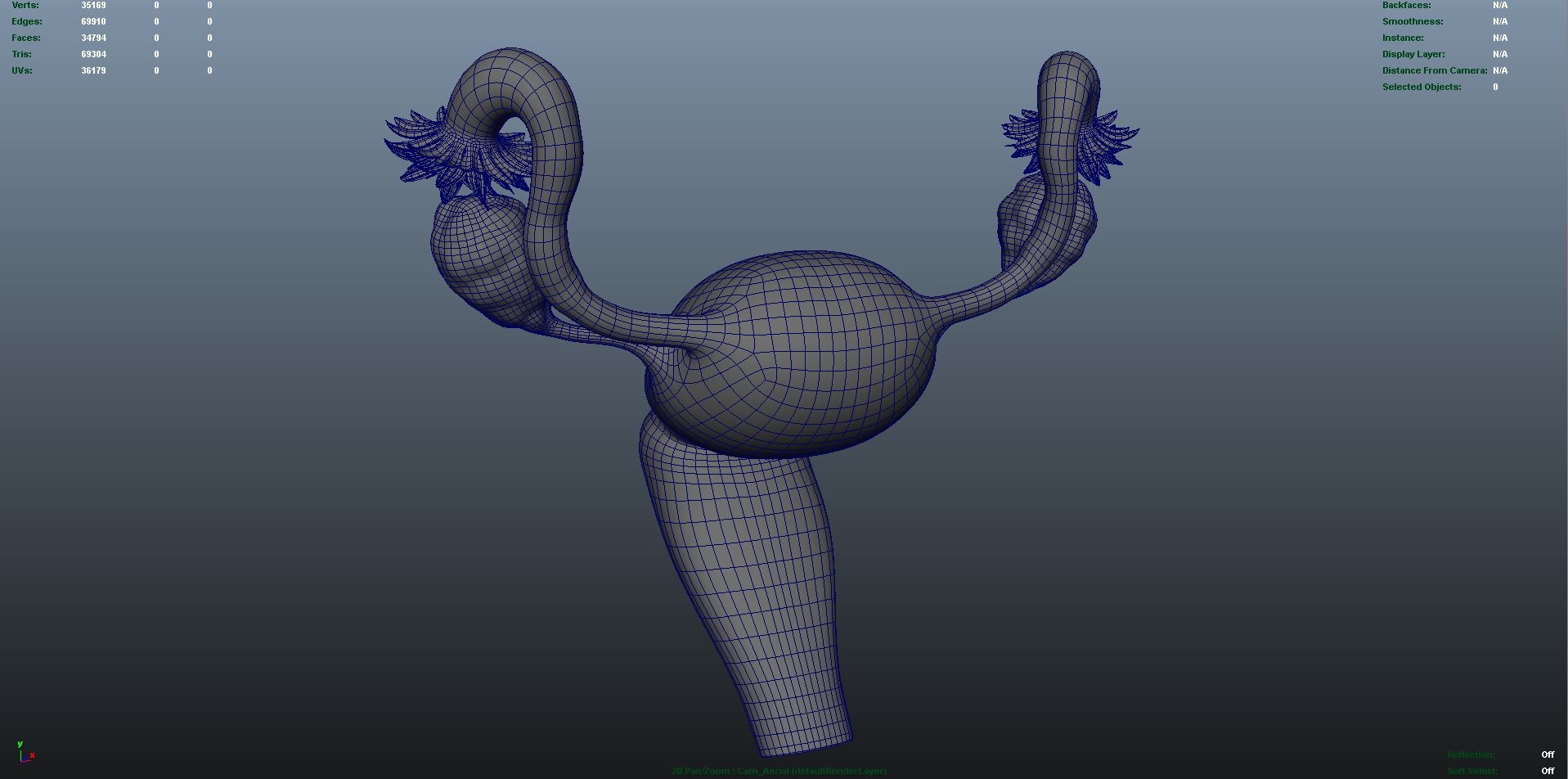 uterus endometrial tissue 3d obj