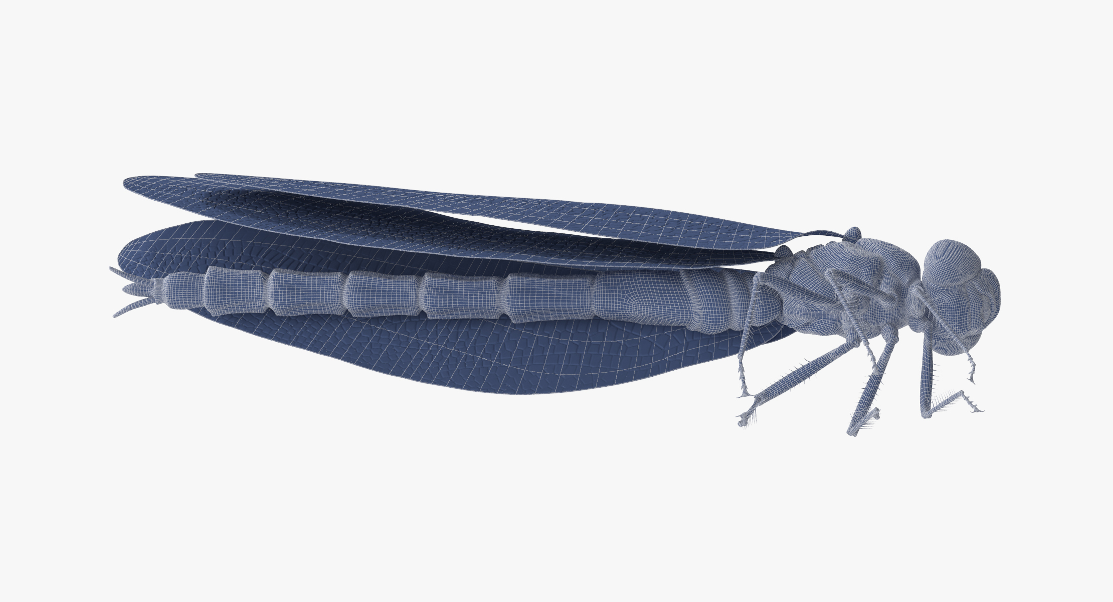 dragonfly pose 03 3d model