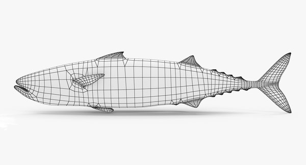3d model mackerel