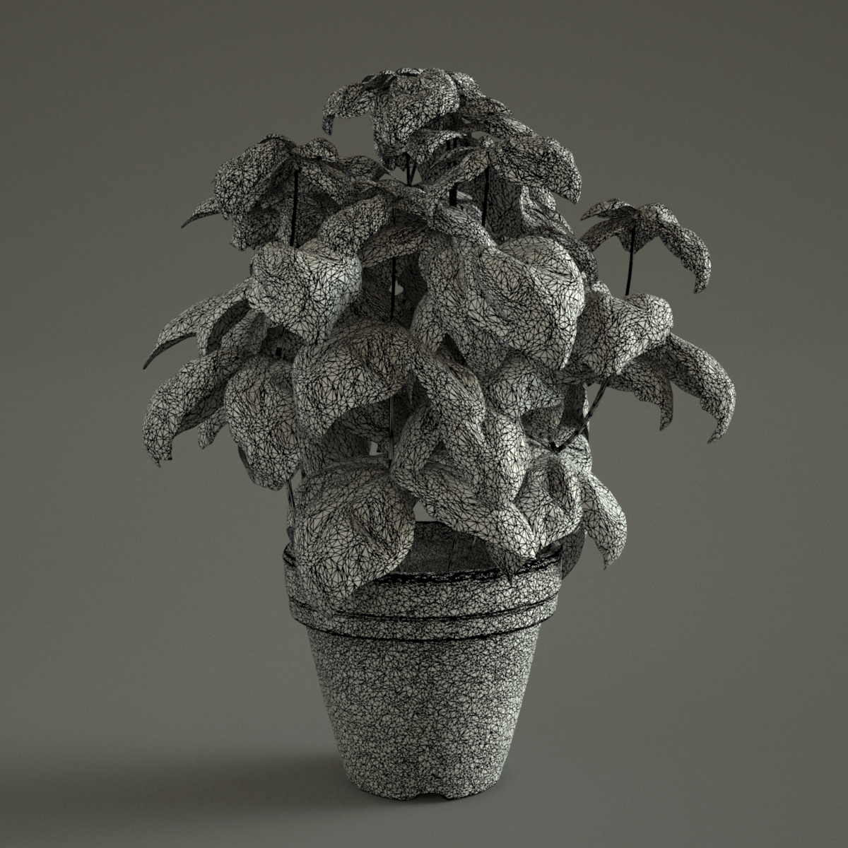 aromatic basil 3d model