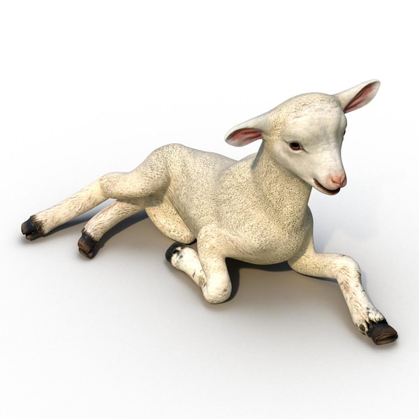 3d lamb pose 4