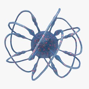 rabies virus 3d model