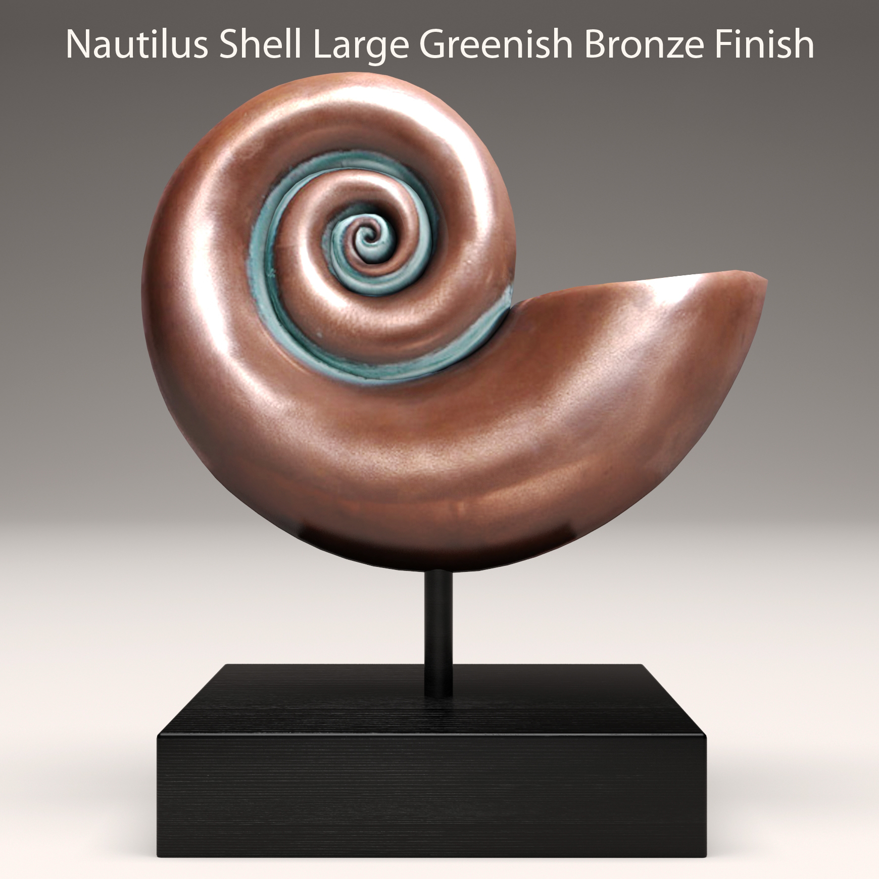 3d nautical nautilus shell