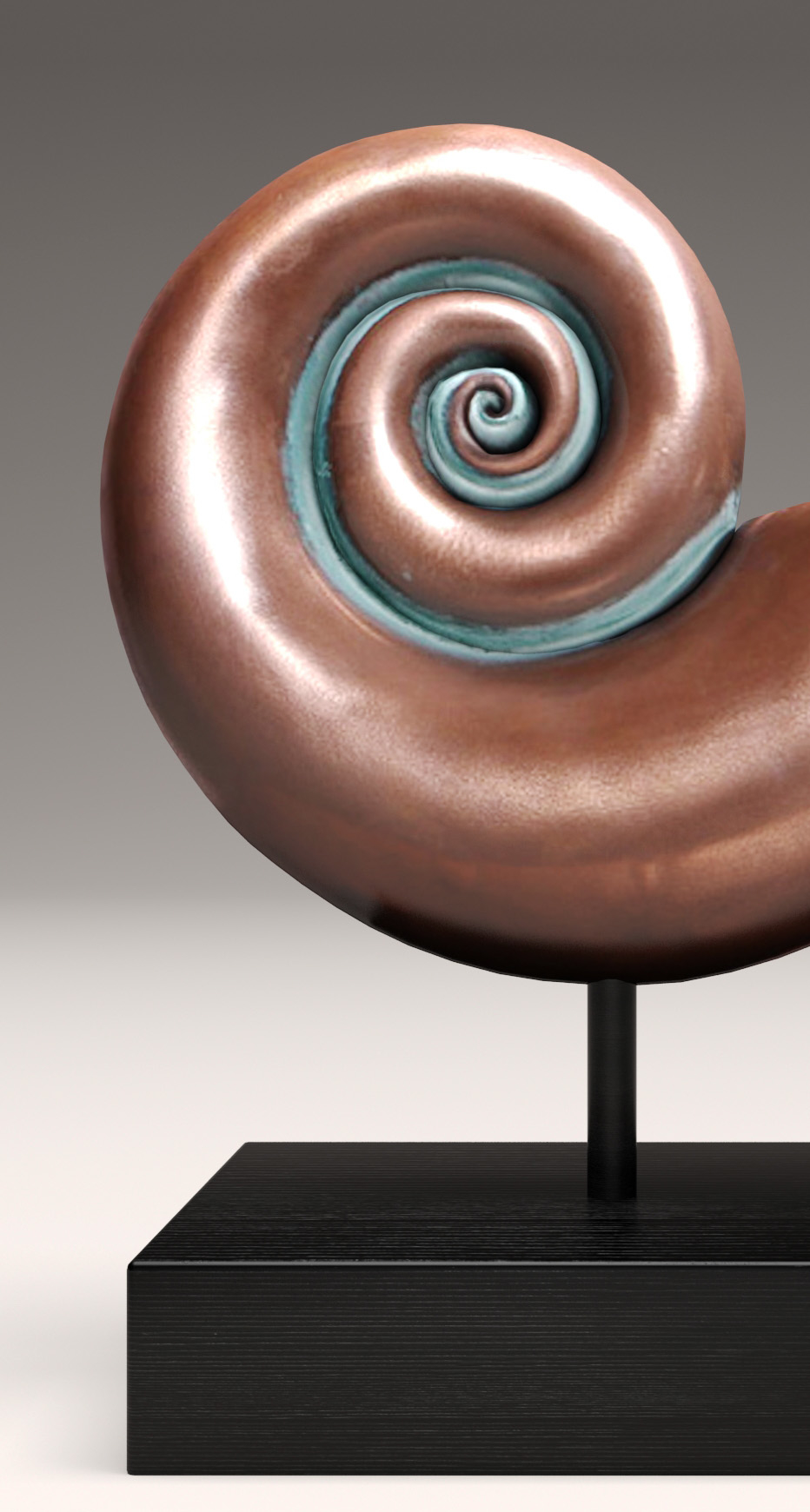 3d nautical nautilus shell