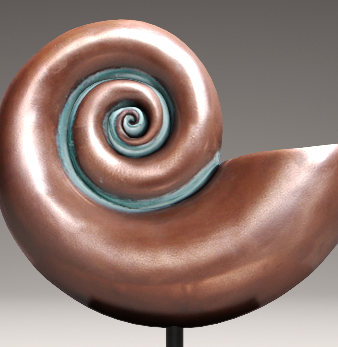 3d nautical nautilus shell