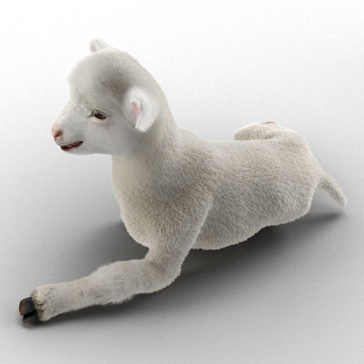 3d model lamb pose 4 fur