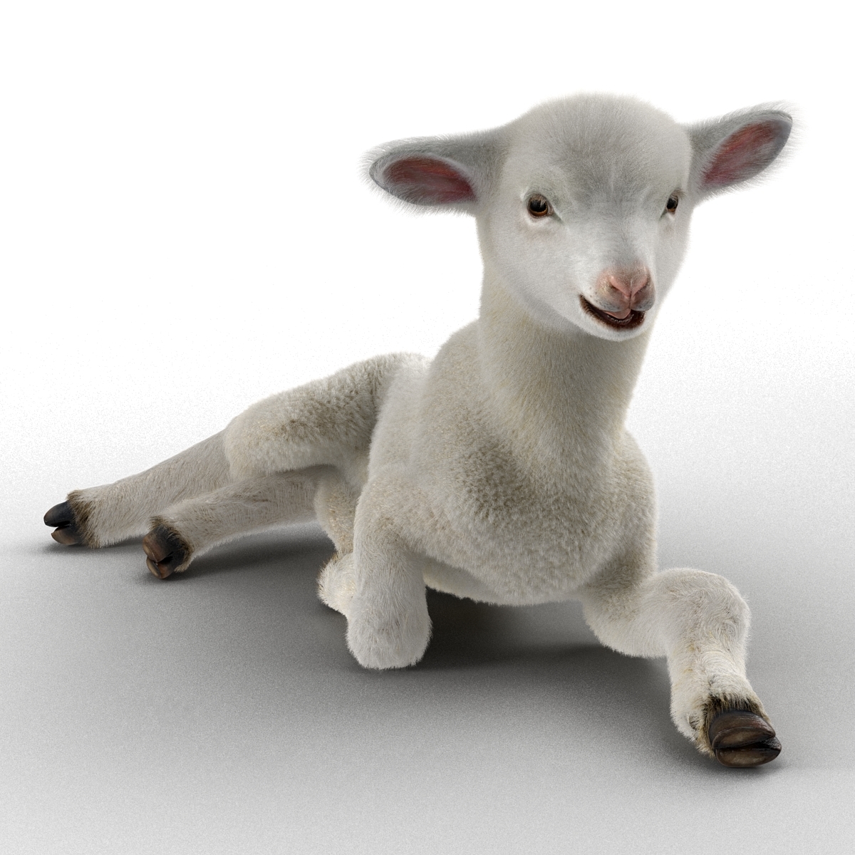 3d model lamb pose 4 fur