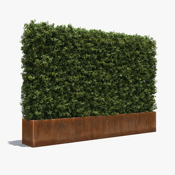 boxwood hedge box 3d obj