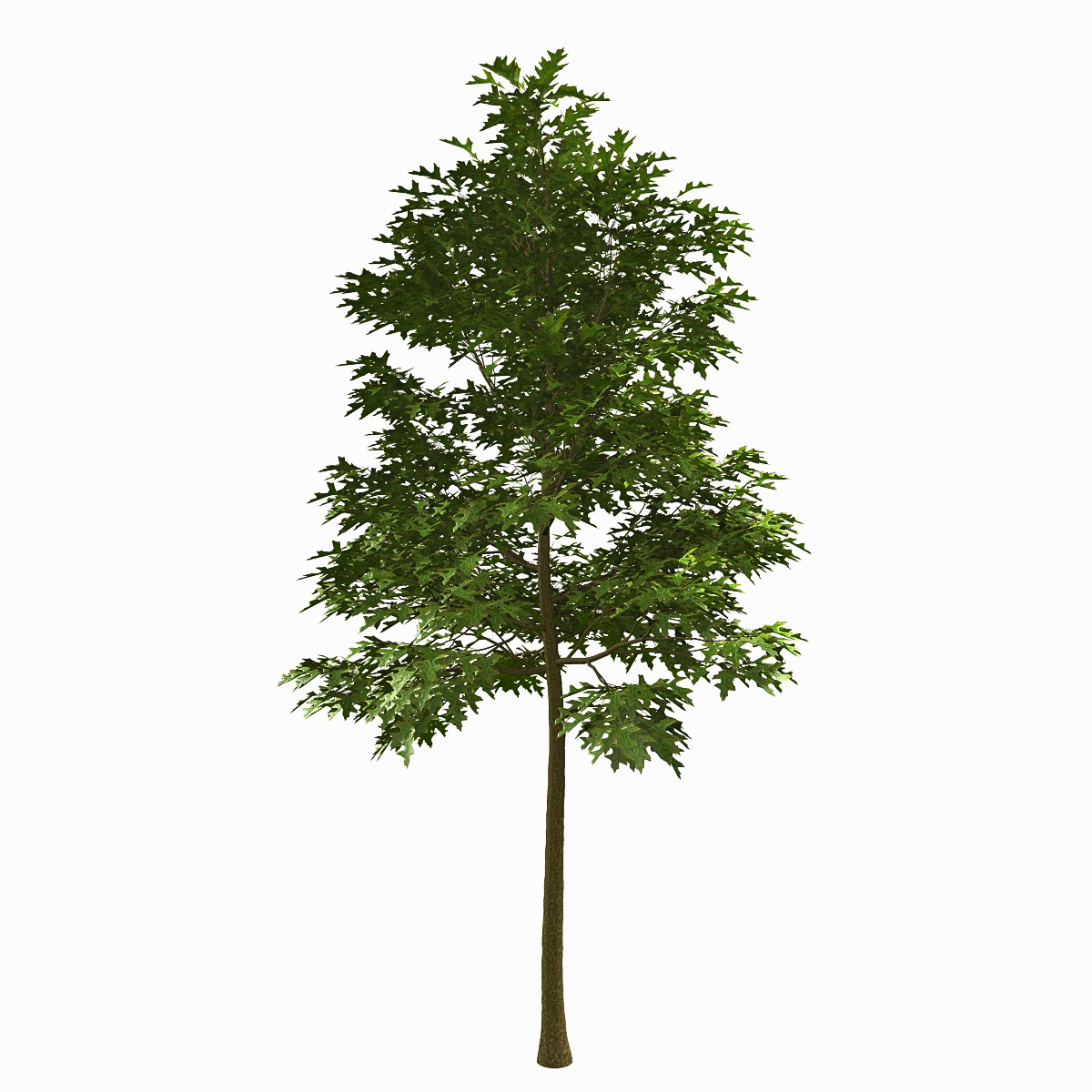 obj tree environment