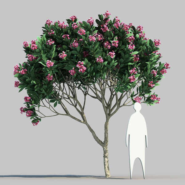 3 flower 10 tree 3d model