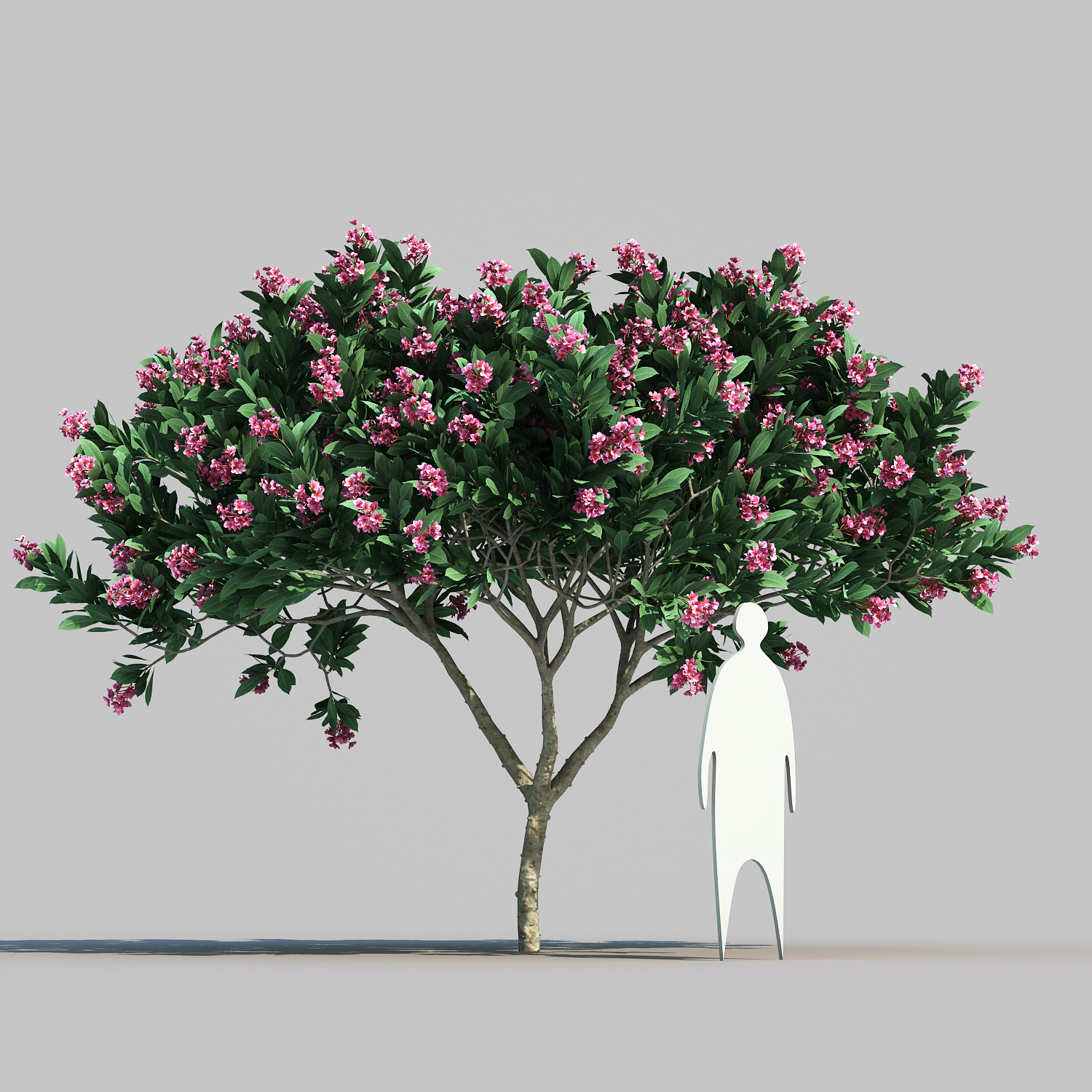 3 flower 10 tree 3d model