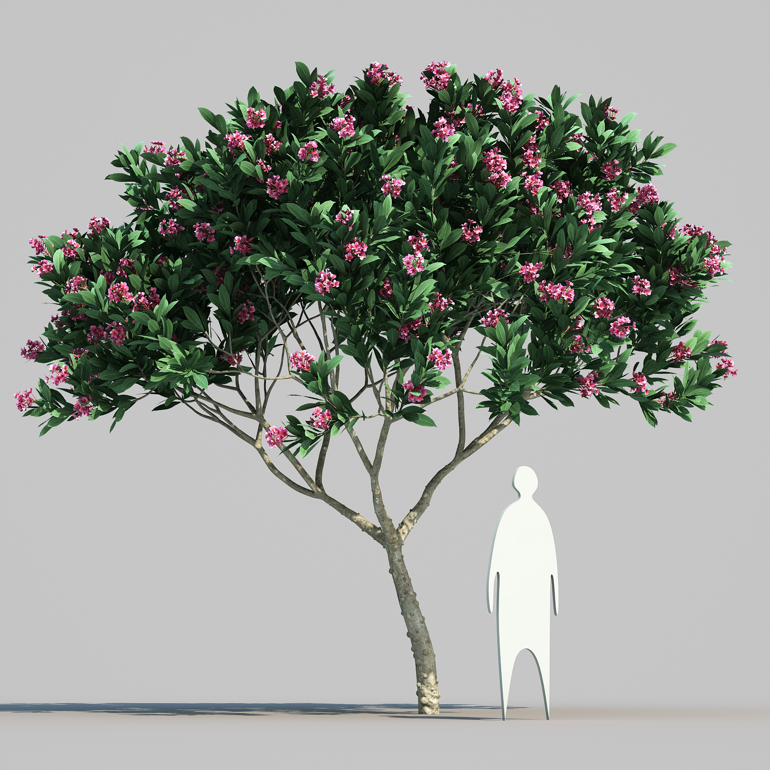 3 flower 10 tree 3d model