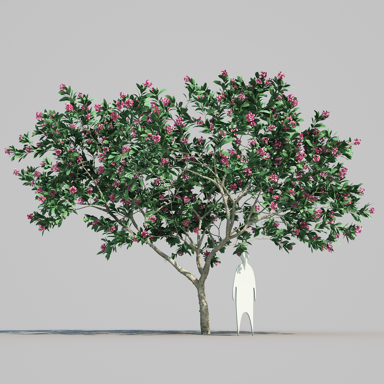 3 flower 10 tree 3d model