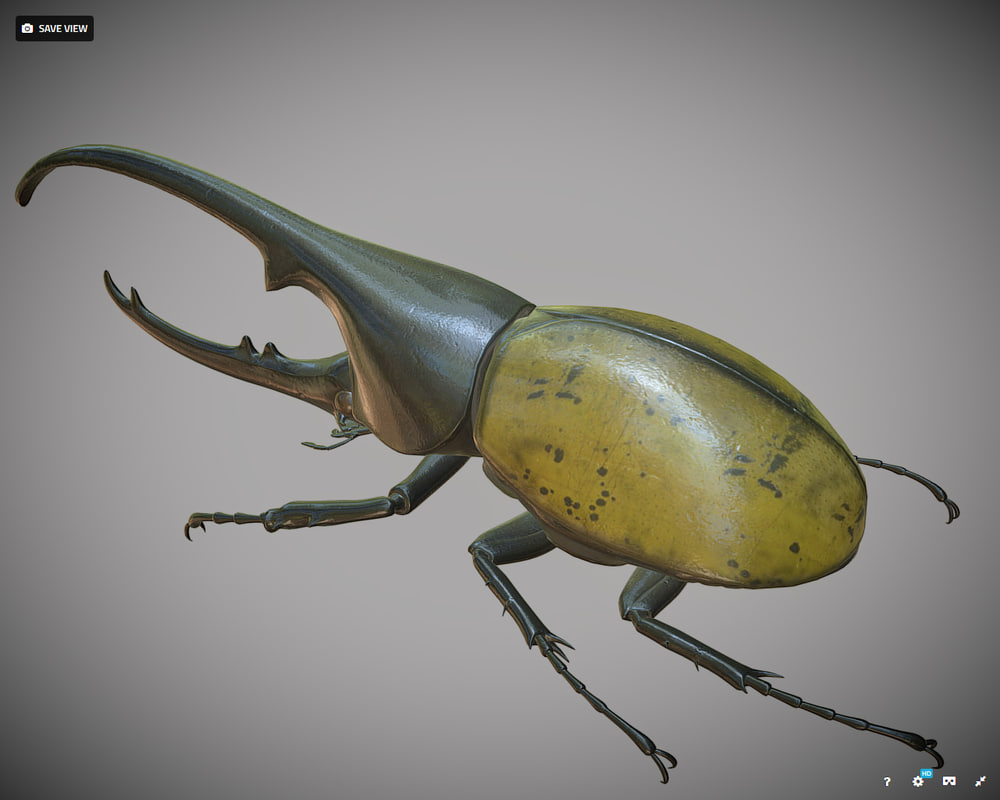hercules beetle 3d model