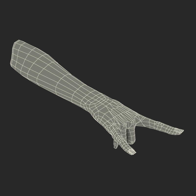 female hand rock roll 3d max