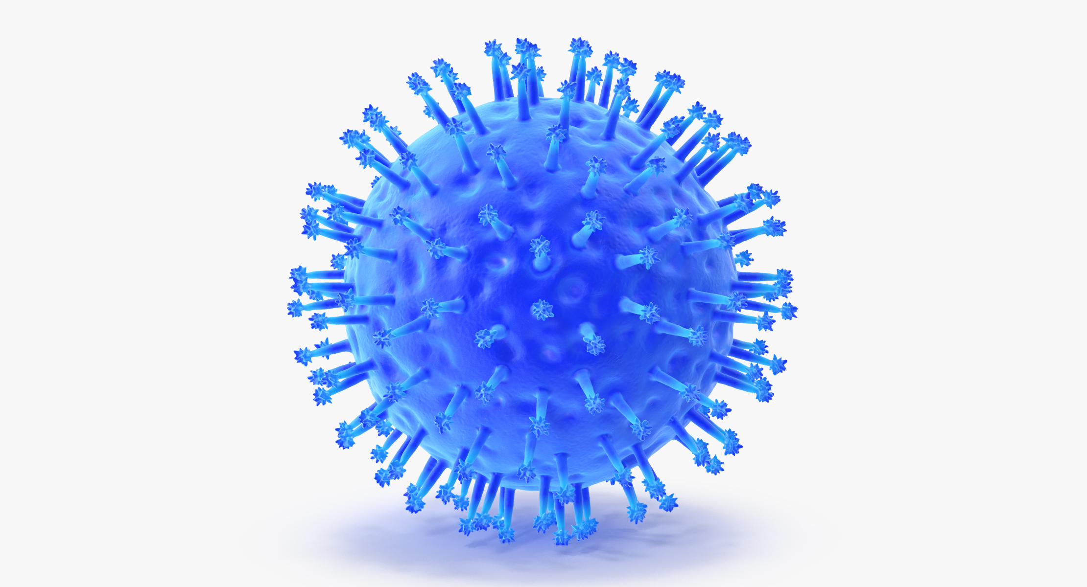 influenza flu 3d model