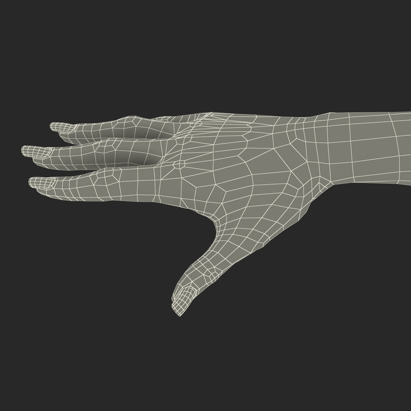 female hand 2 3d model