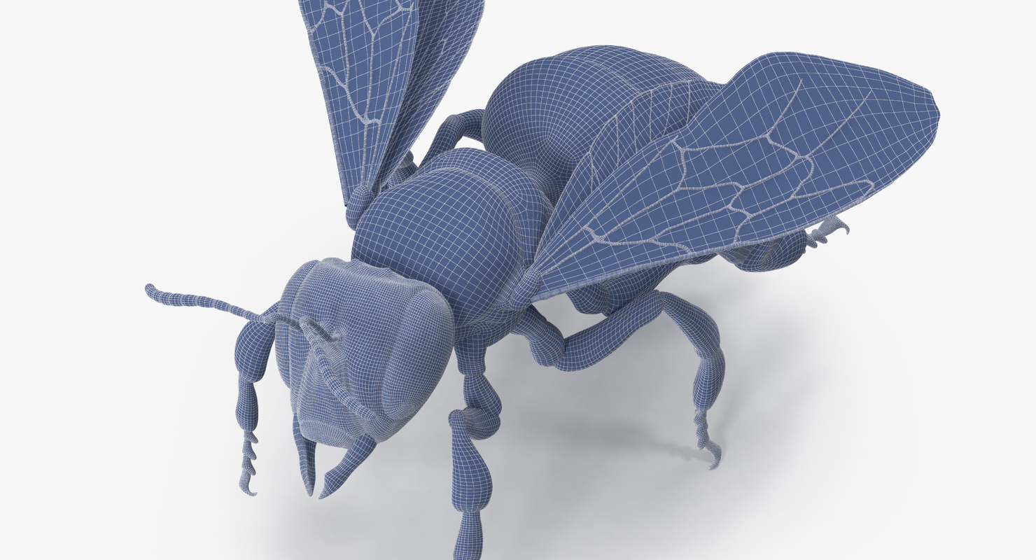 bee bumblebee 3d model