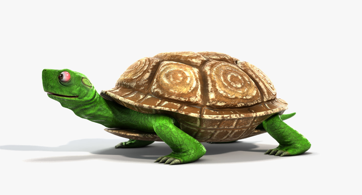 cartoon turtle 3d max
