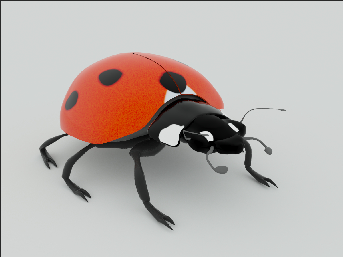 3d ladybird model